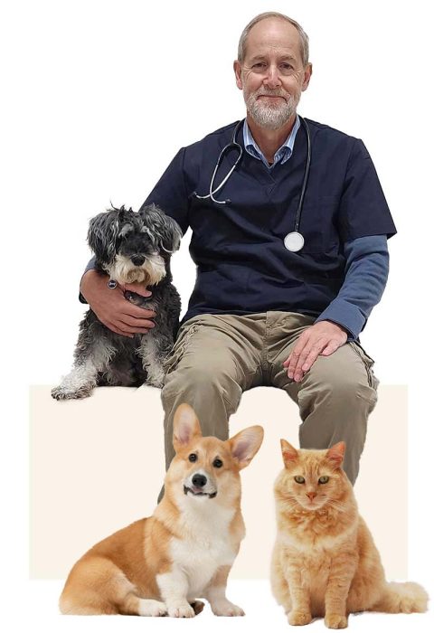 Adelaide Mobile Vet – Paws Plus home vet visit services